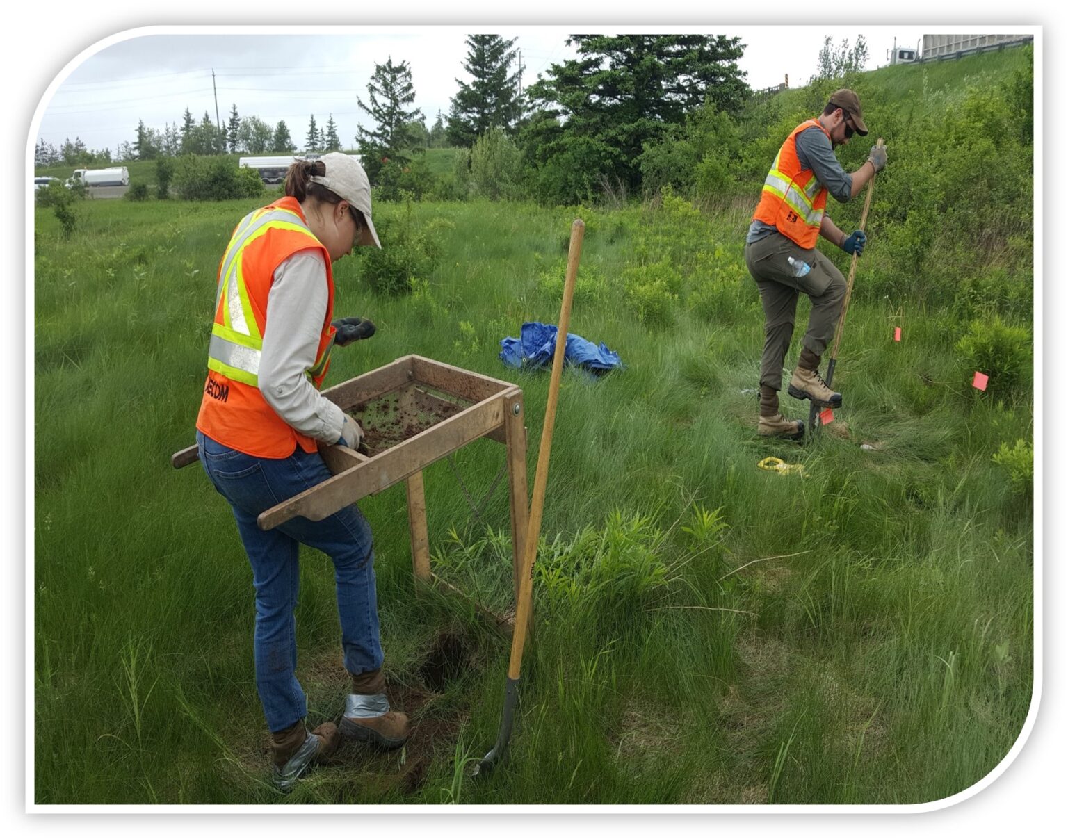 18. Overview of Environmental Field Work - Highways 6 & 401 Improvements